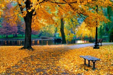 UK Weather Guide To The Seasons Foreign Students UK Weather Guide To The Seasons Foreign Students